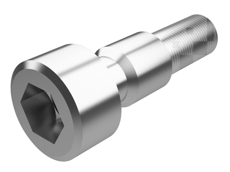 951906C1 Plug, Borescope