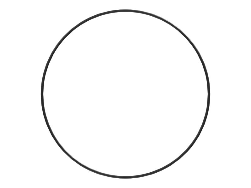 311-9642: Final Drive O-Ring Seal | CATCorp