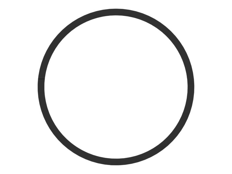 208-9801: 29.08mm Inner Diameter Relief Valve Backup Ring | CATCorp